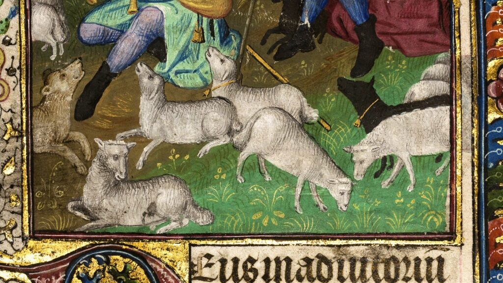 CANCELLED - Counting Sheep and Flying Pigs: Farm Animals in Art and ...